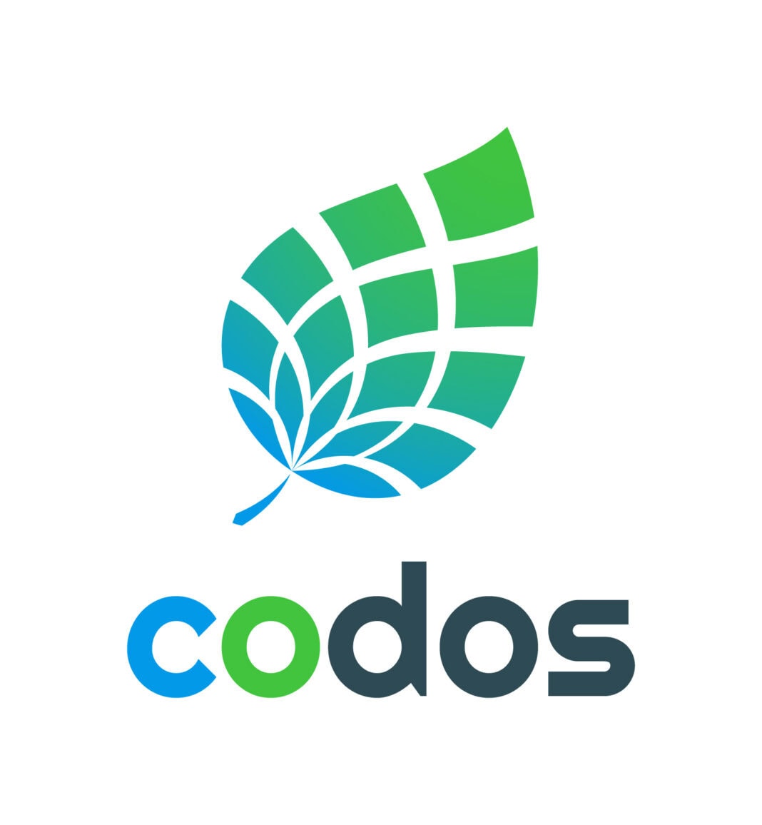 Codos Foundation Belohnungssystem purpose driven token